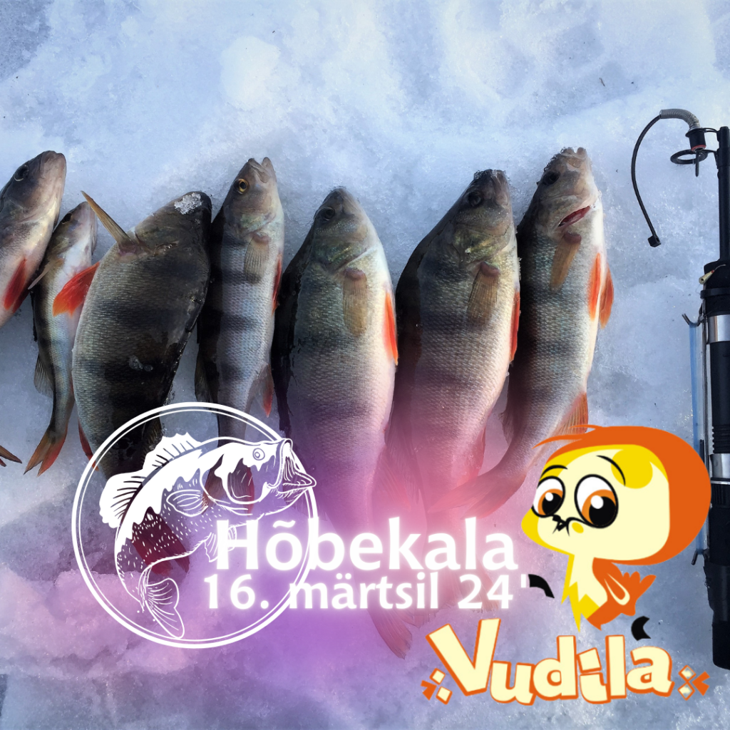 Hõbekala 2024 - Vudila